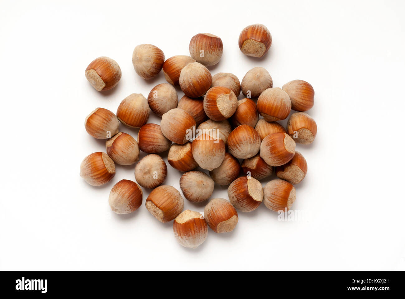 Hazelnuts in the shell isolated on white background Stock Photo - Alamy