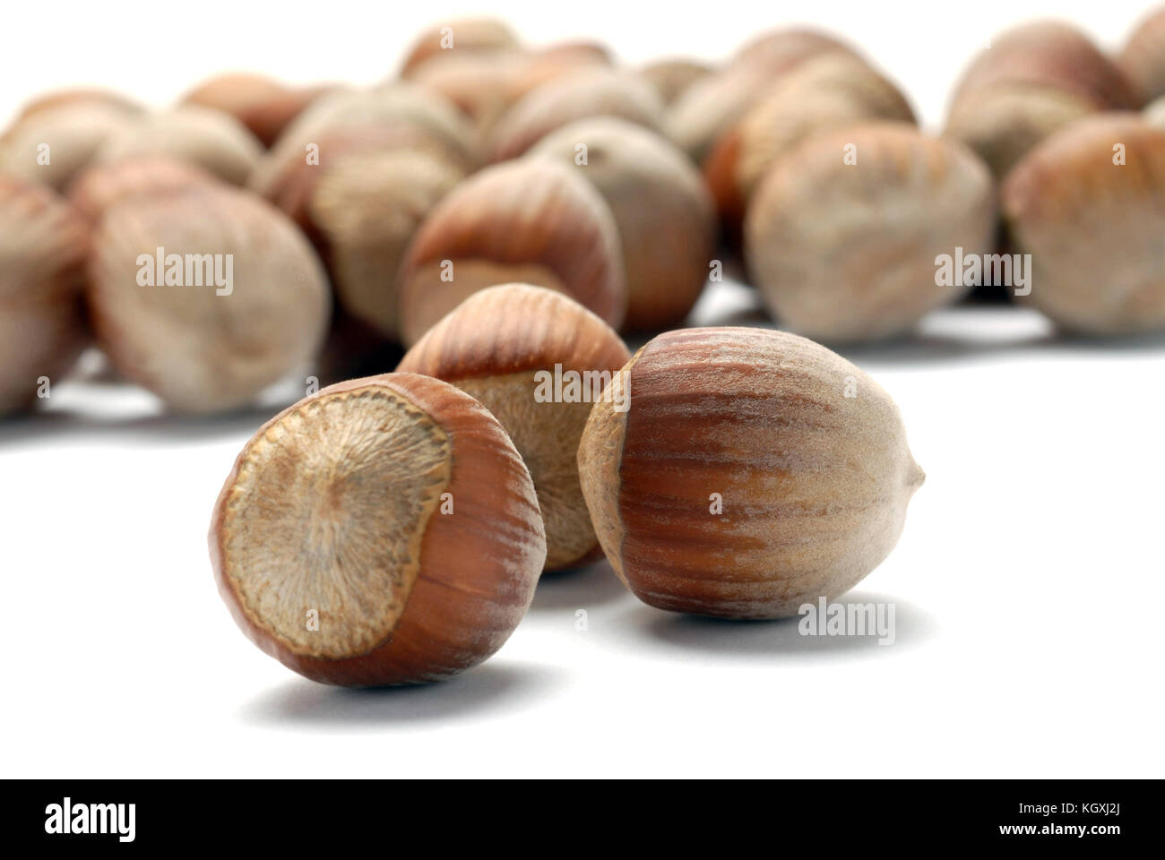 Hazelnuts in the shell isolated on white background Stock Photo - Alamy