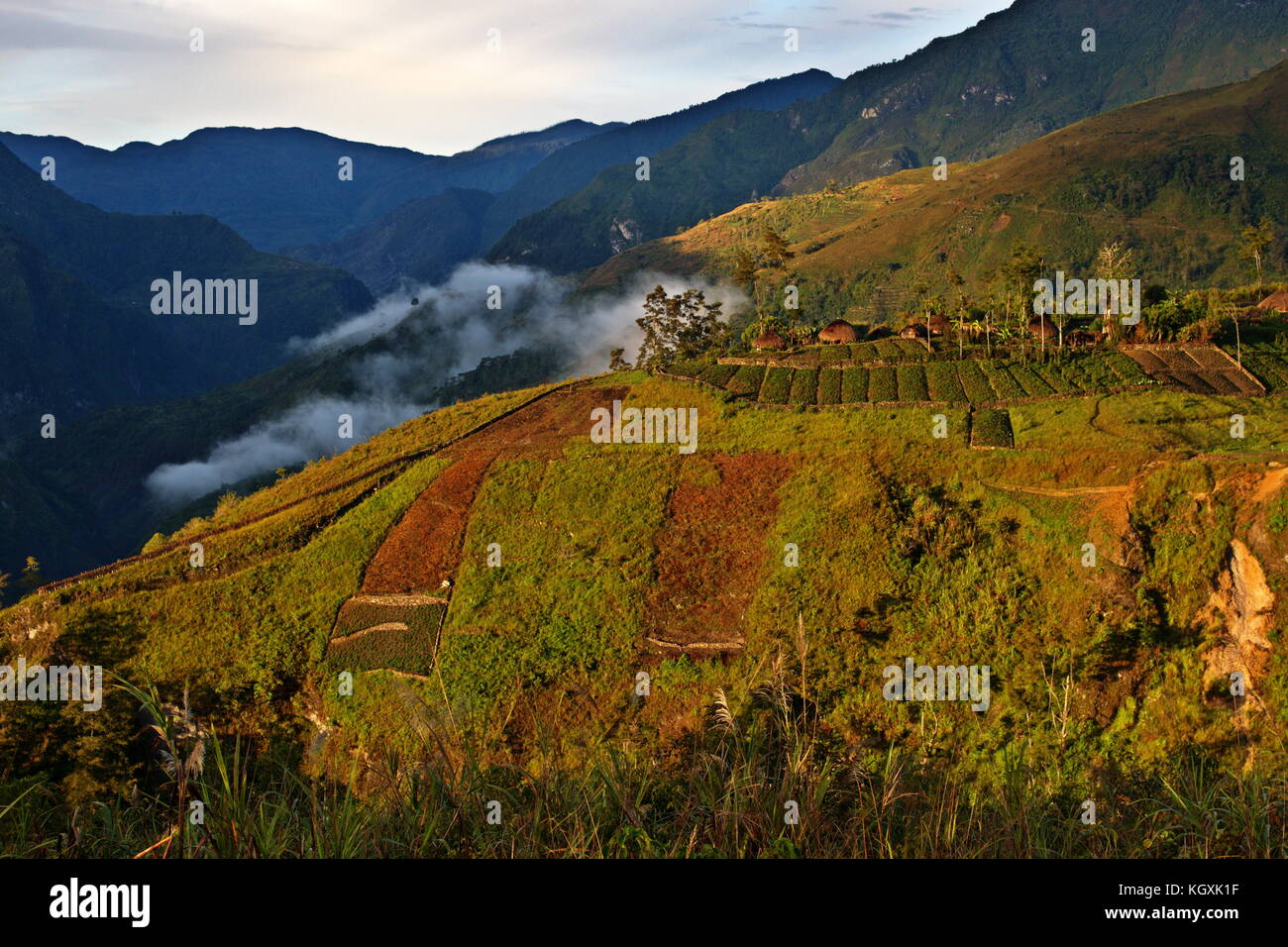 Local village in the Baliem Valley, Papua Stock Photo - Alamy