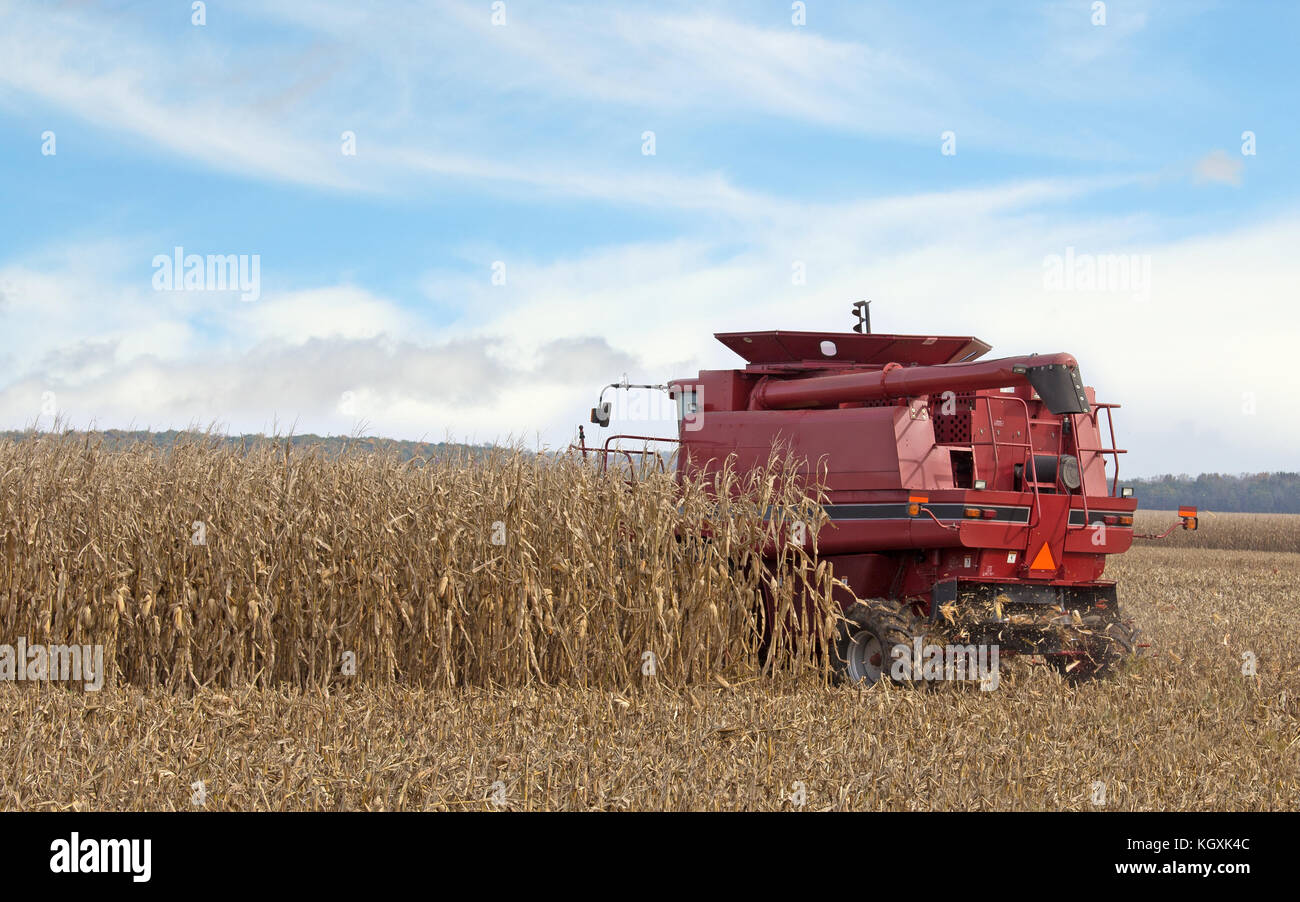 Corn harvesting machine hi-res stock photography and images - Alamy