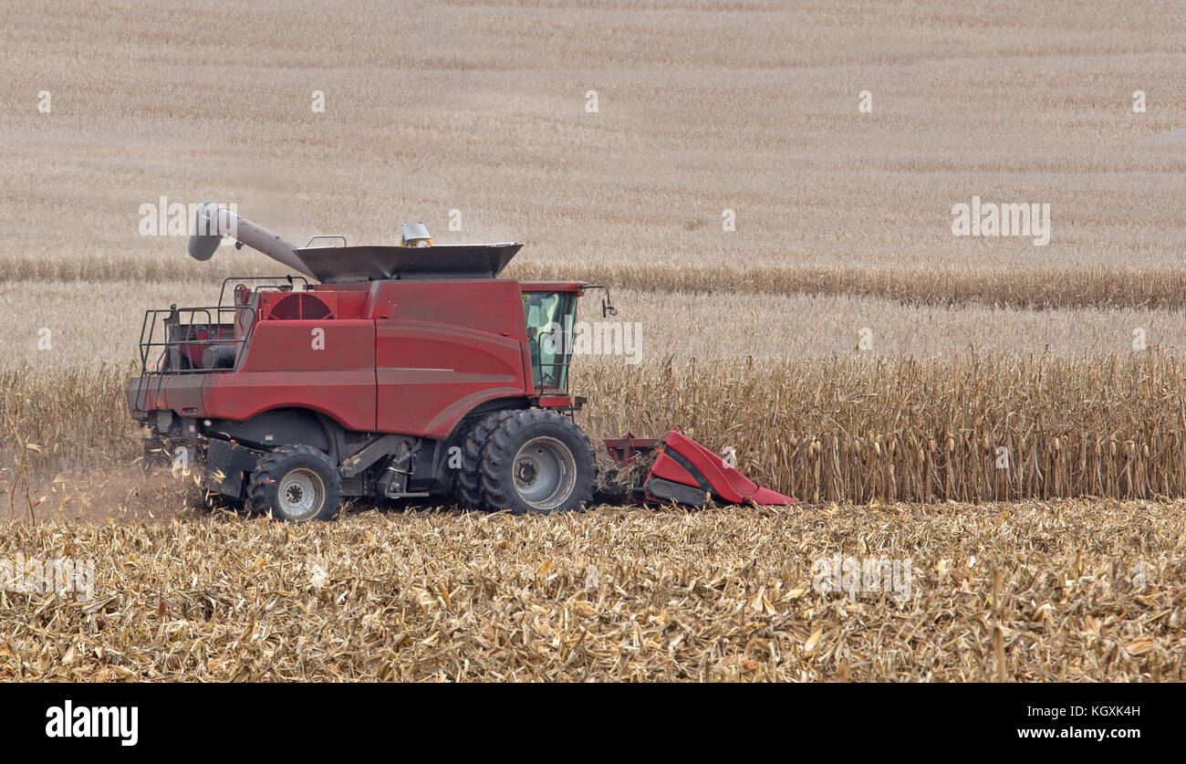 Combining crop hi-res stock photography and images - Alamy