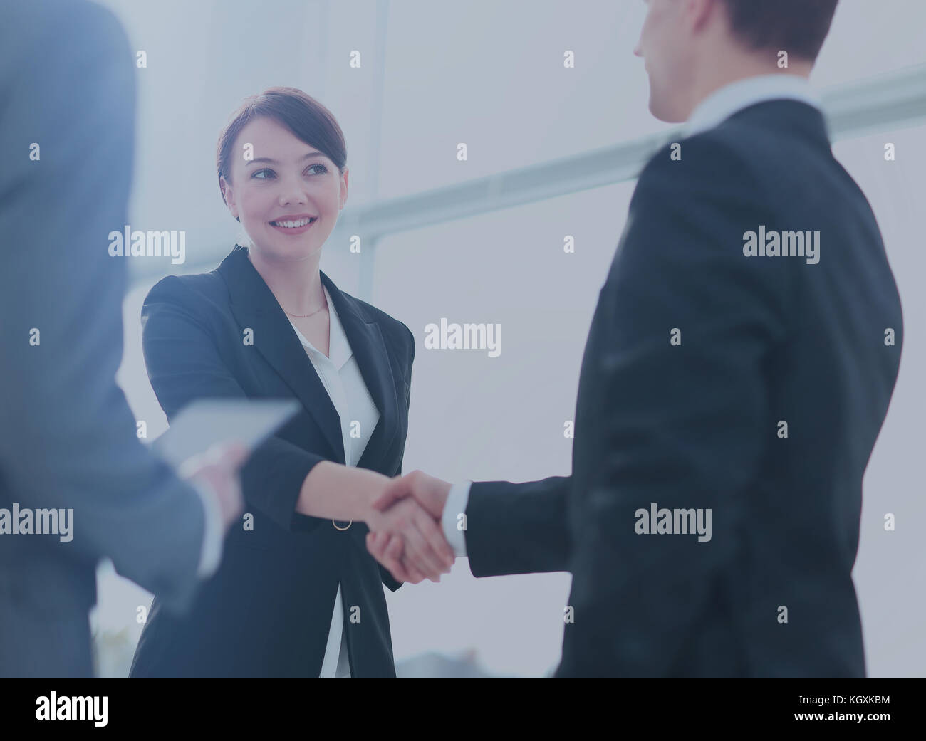 Two professional business people shaking hands Stock Photo - Alamy