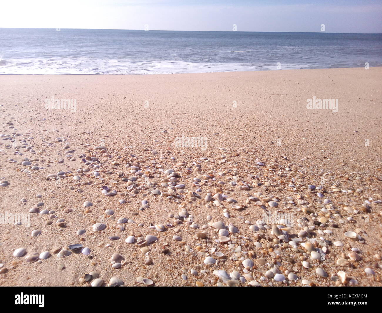 Beach sand on calm sea shell scatered by waves Stock Photo - Alamy