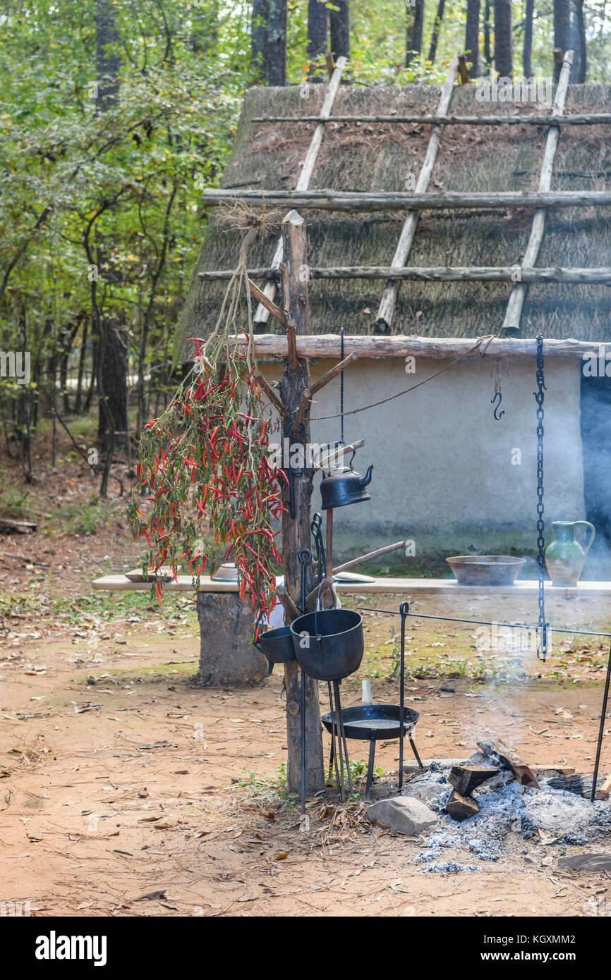 Campfire cooking hi-res stock photography and images - Alamy