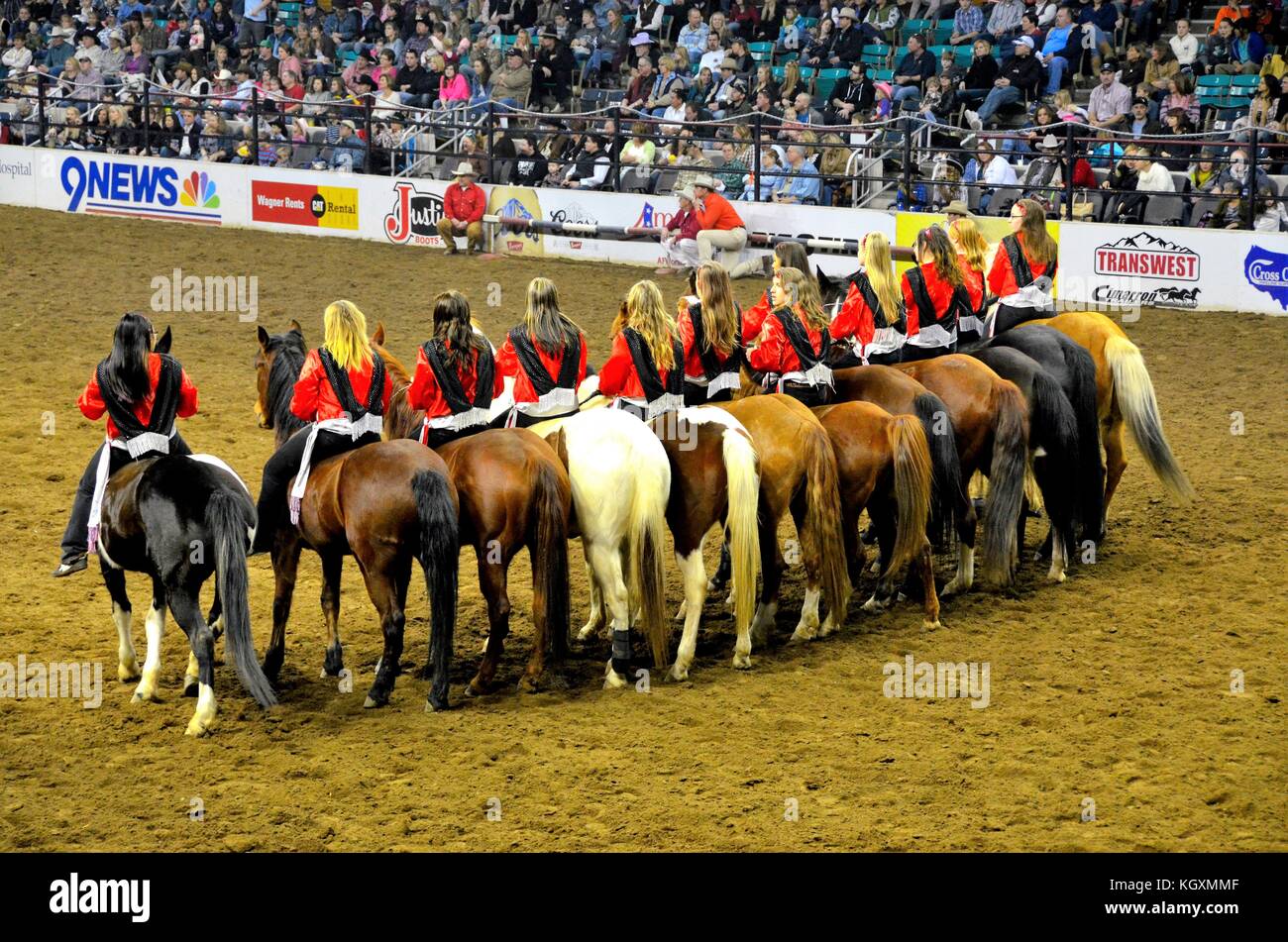 Calf roping hands hi-res stock photography and images - Alamy