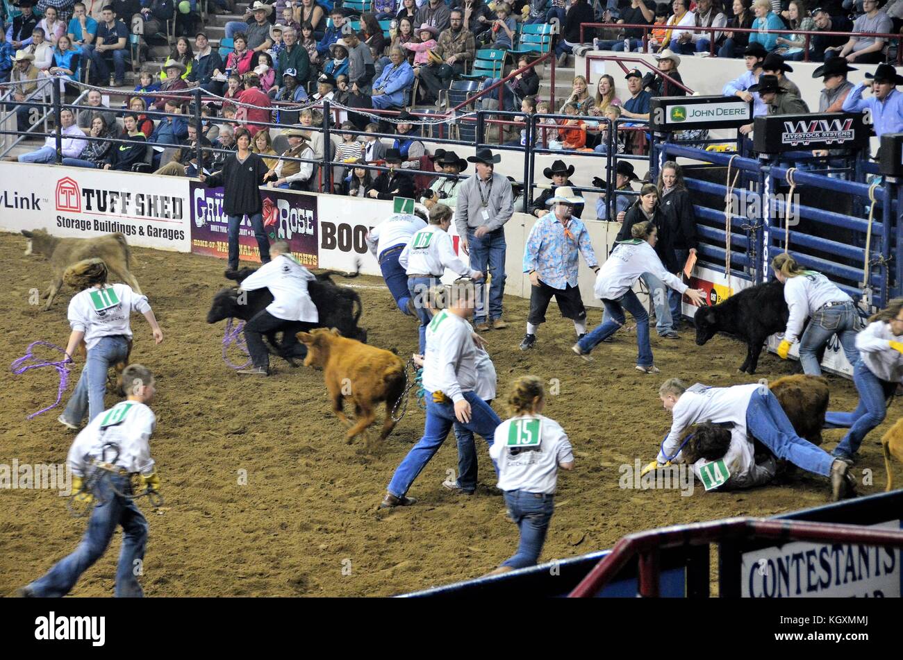 Teamwork competition farming hi-res stock photography and images - Alamy