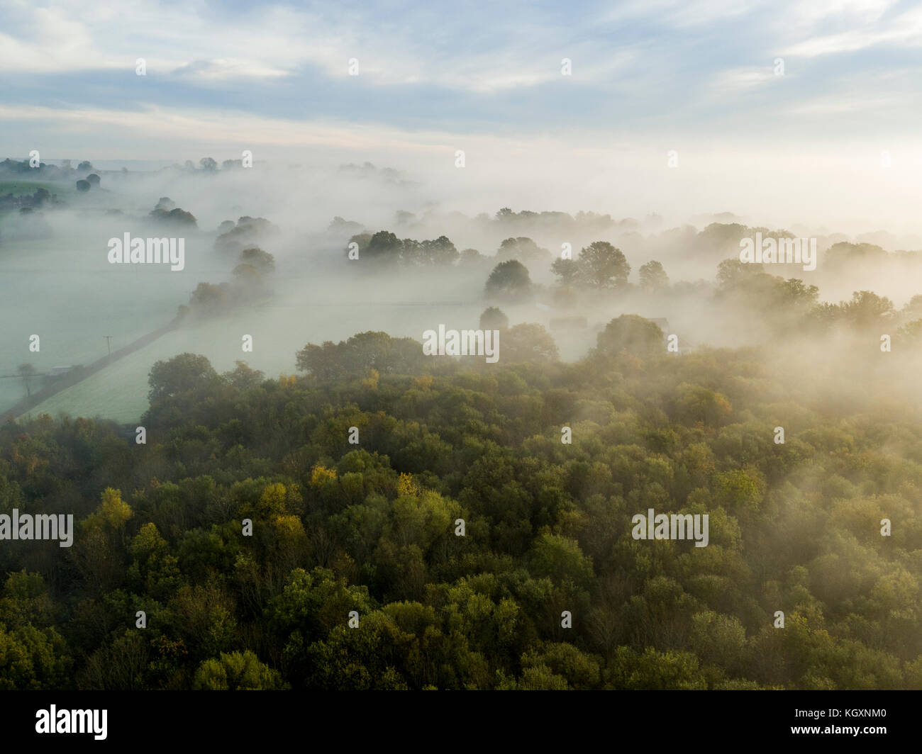 Dering woods hi-res stock photography and images - Alamy