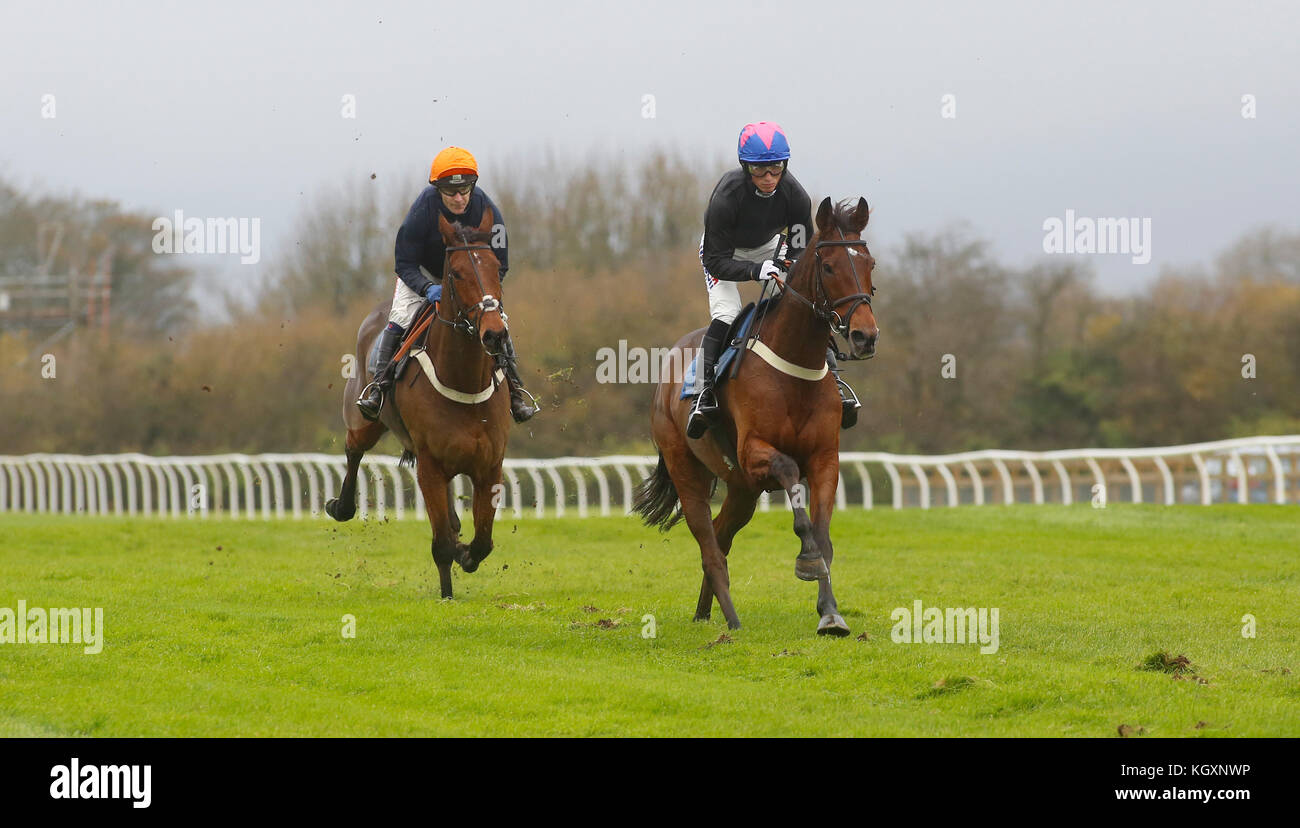 Cue card horse hi-res stock photography and images - Alamy