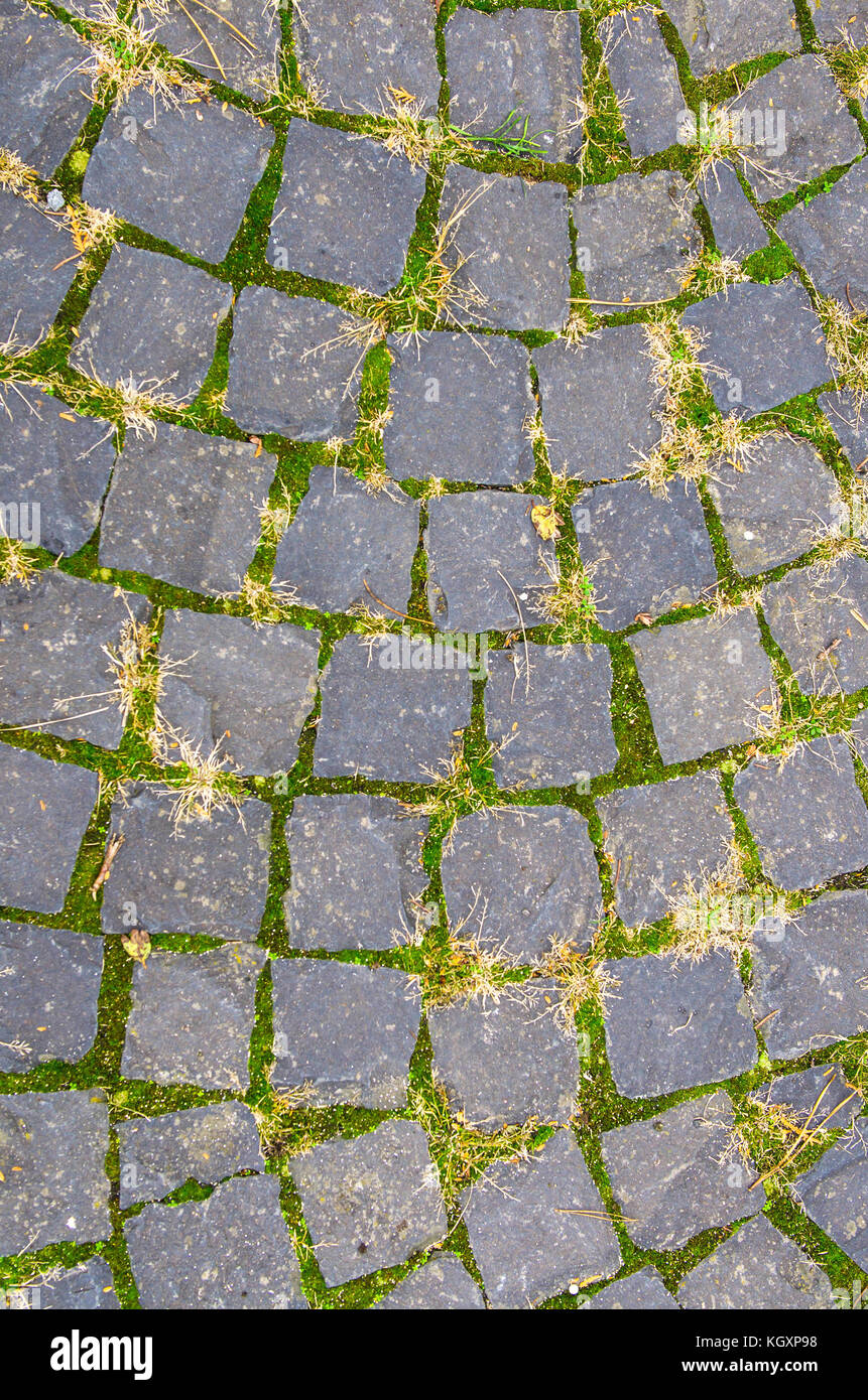 a stone road in the city, overgrown with grass. stone road surface ...