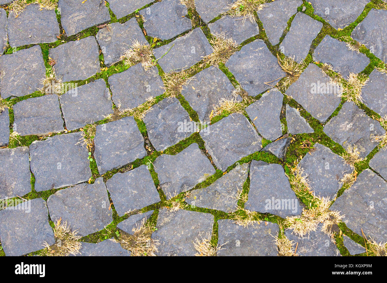 a stone road in the city, overgrown with grass. stone road surface ...