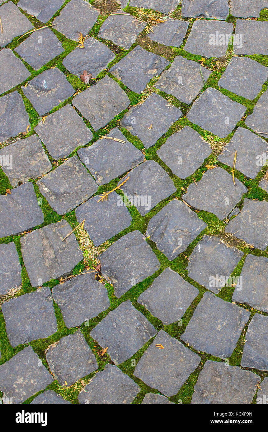 a stone road in the city, overgrown with grass. stone road surface ...