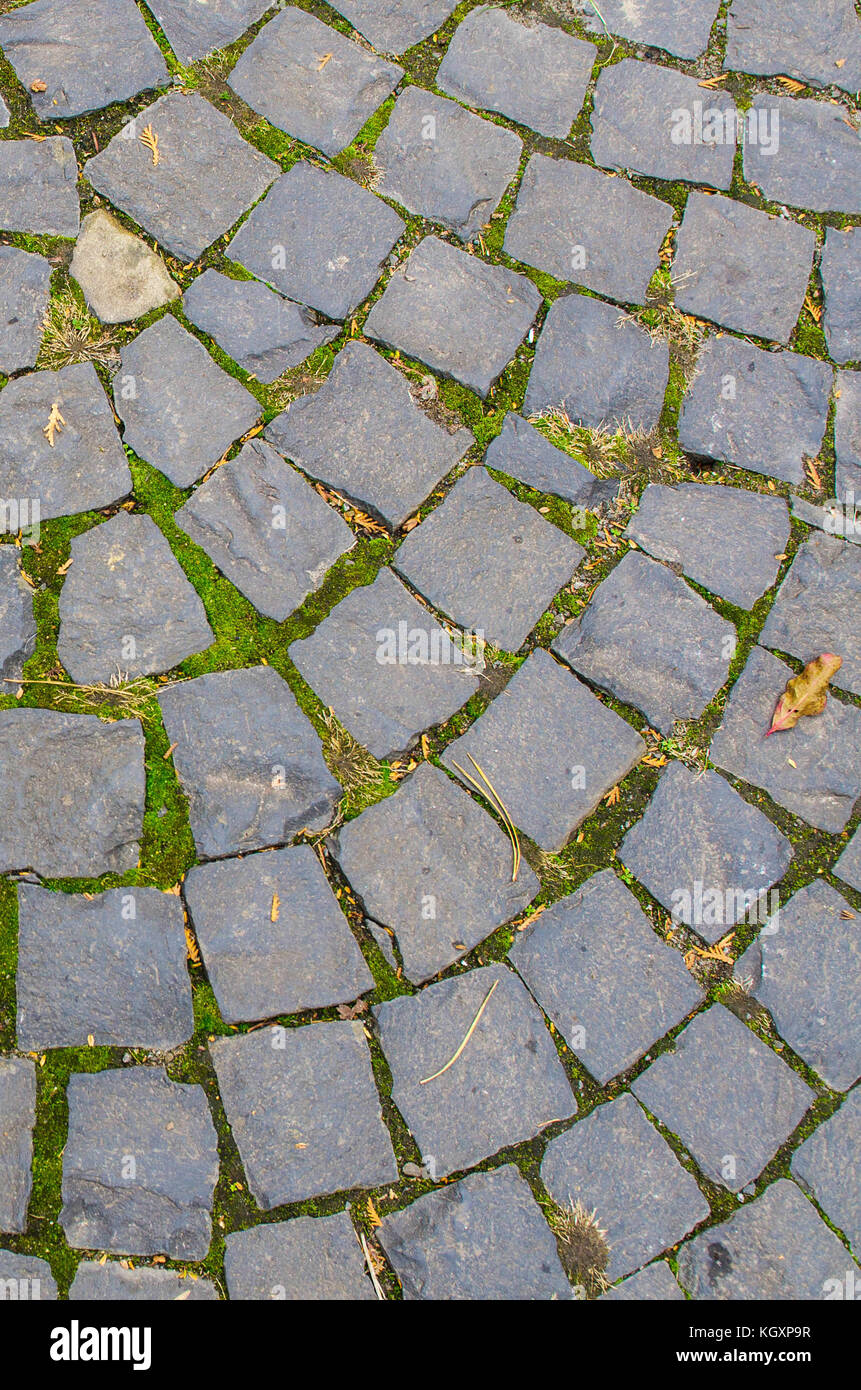 a stone road in the city, overgrown with grass. stone road surface ...