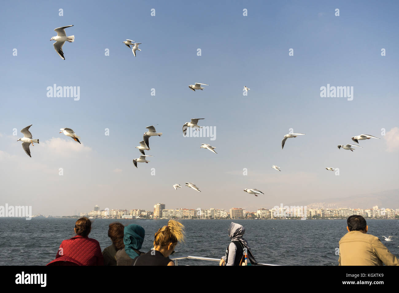 Seagull. seagulls flying in the back of the ships at sea Stock Photo ...