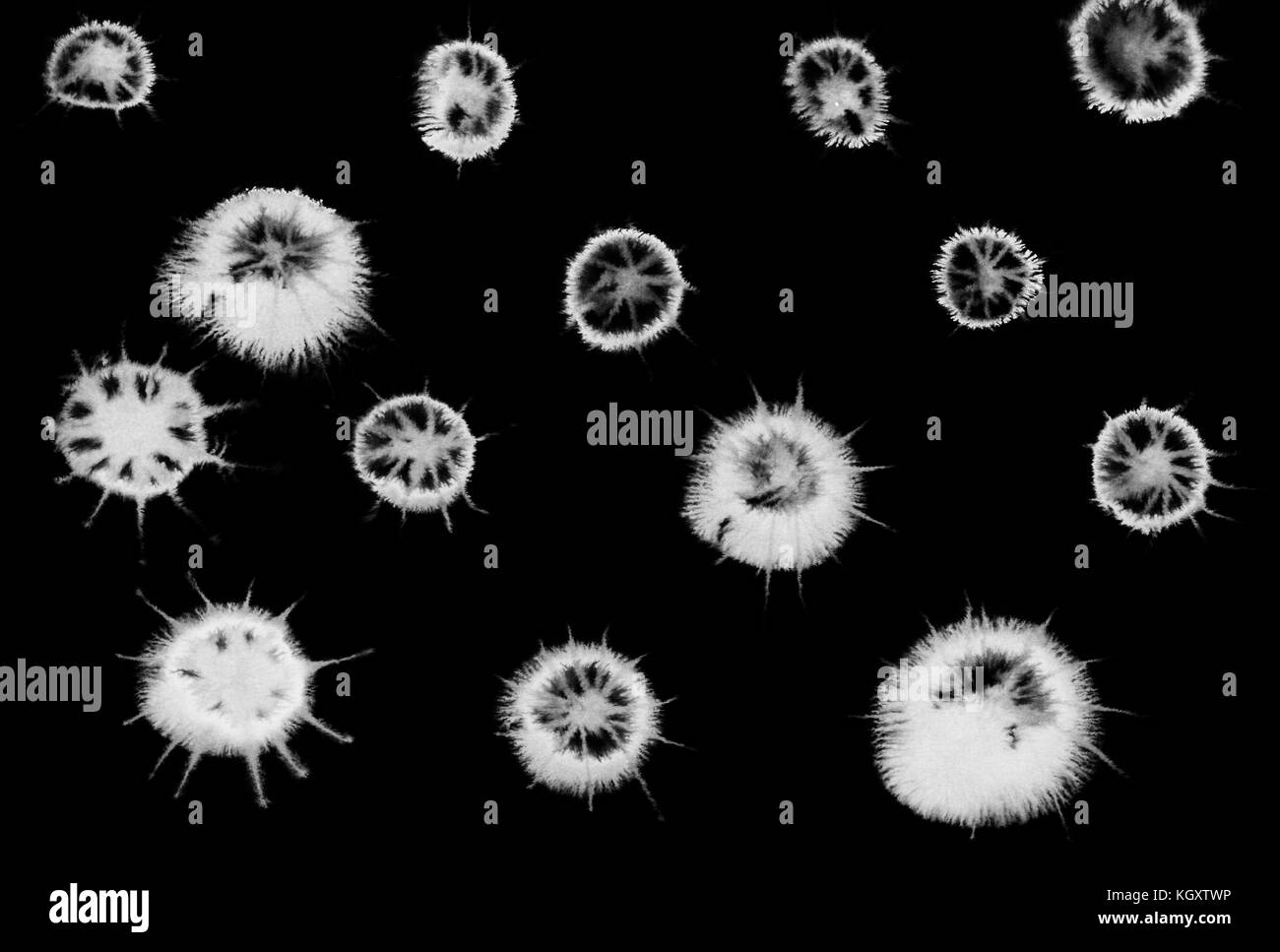 snowflakes ink painting black background Stock Photo - Alamy