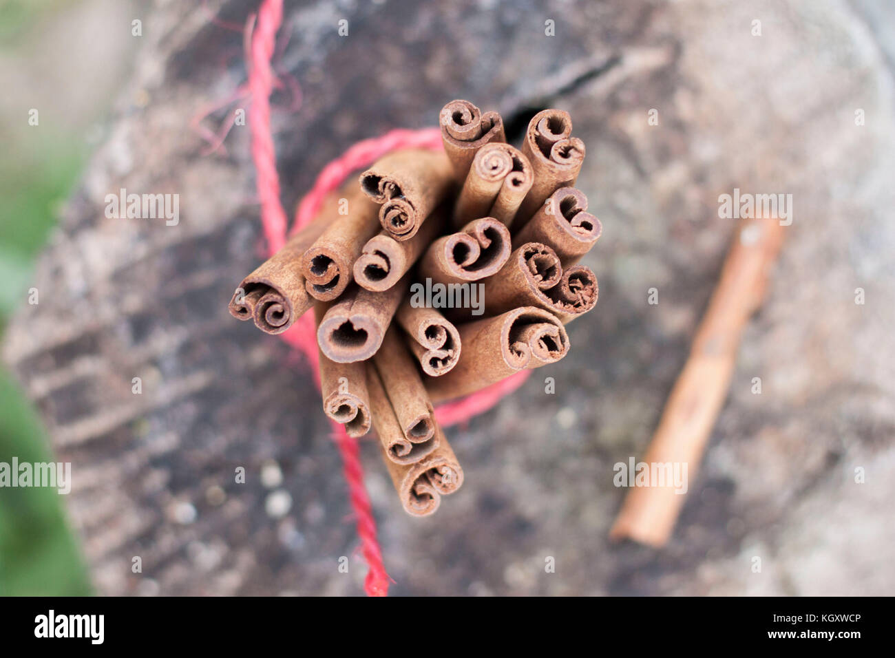 Rope tied wood stick hi-res stock photography and images - Alamy