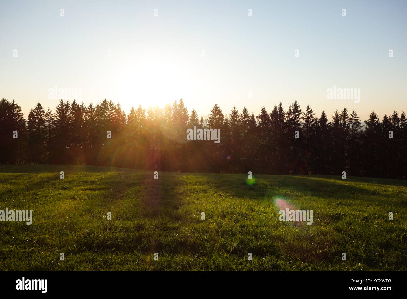 Majestic sunset in the forest landscape Stock Photo - Alamy