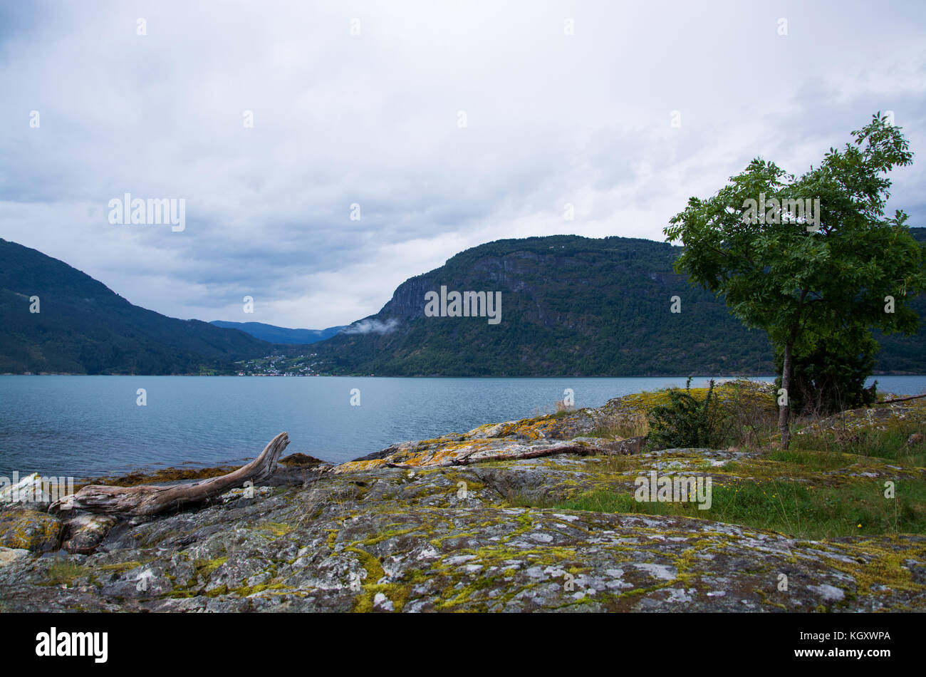 The Lustrafjorden or Lusterfjorden is located in the norwegian province ...