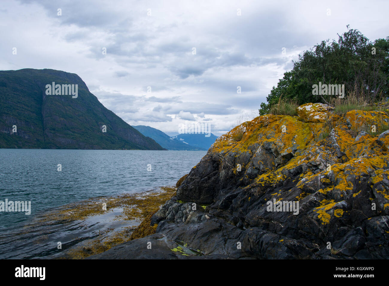 The Lustrafjorden or Lusterfjorden is located in the norwegian province ...