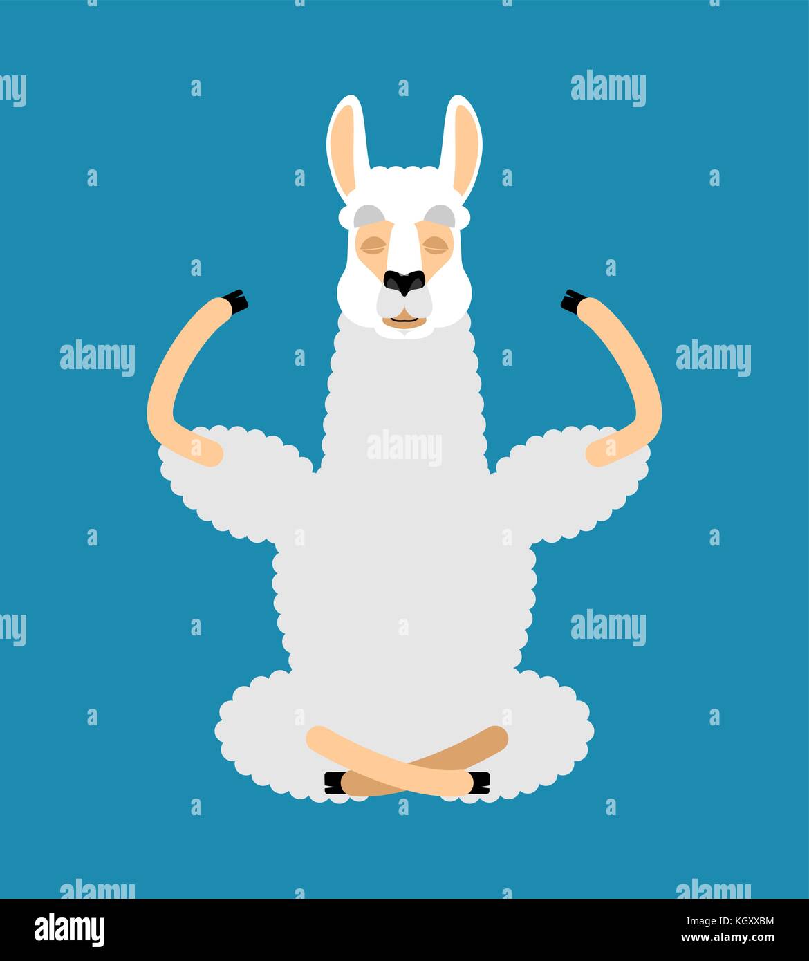 Beautiful young alpaca Stock Vector Images - Alamy