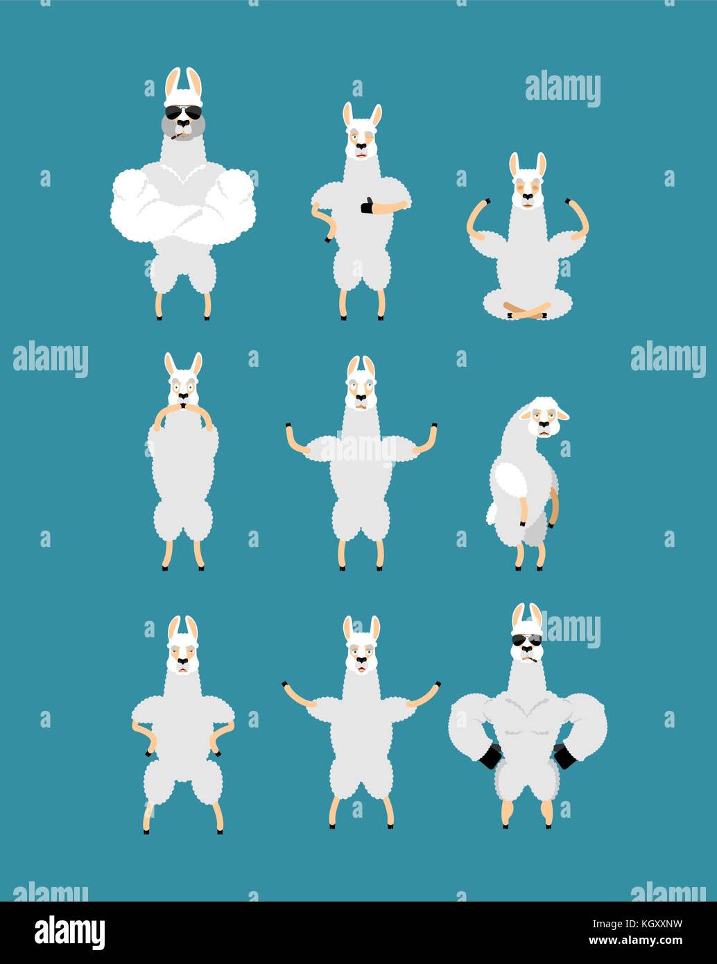 Lama Alpaca set poses and motion. Animal happy and yoga. Beast sleeping ...