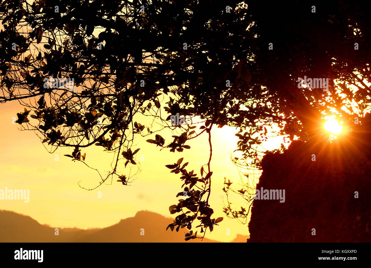 Sunset silhouettes hi-res stock photography and images - Alamy
