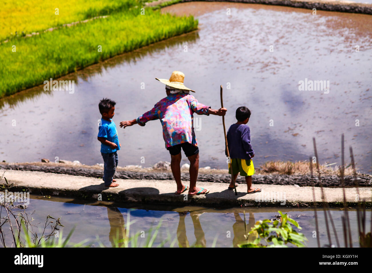 Life on the rice paddy Stock Photo - Alamy