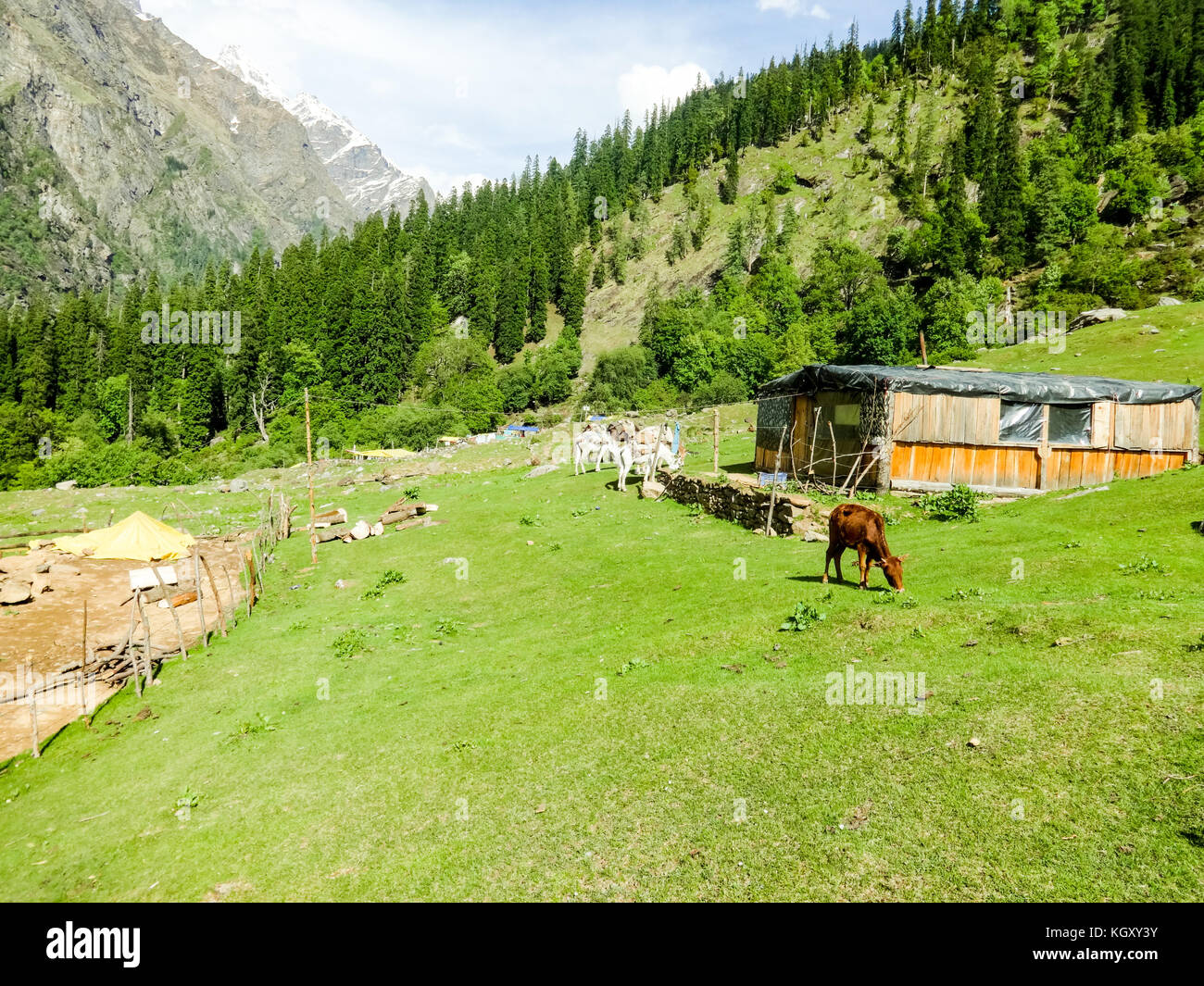 Rural life india hi-res stock photography and images - Alamy