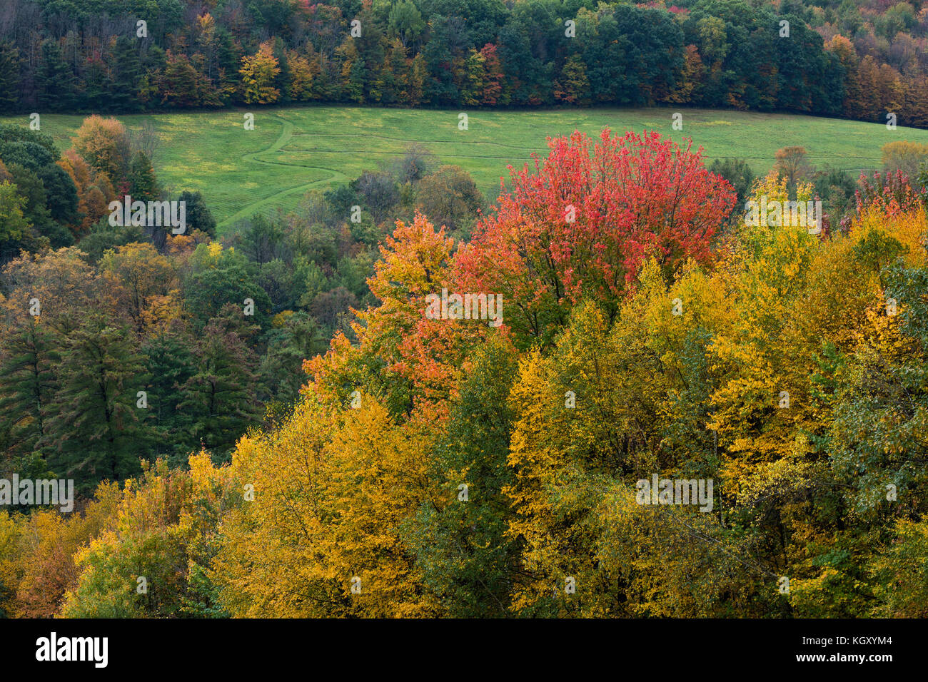 Massachusetts fall colors hi-res stock photography and images - Alamy