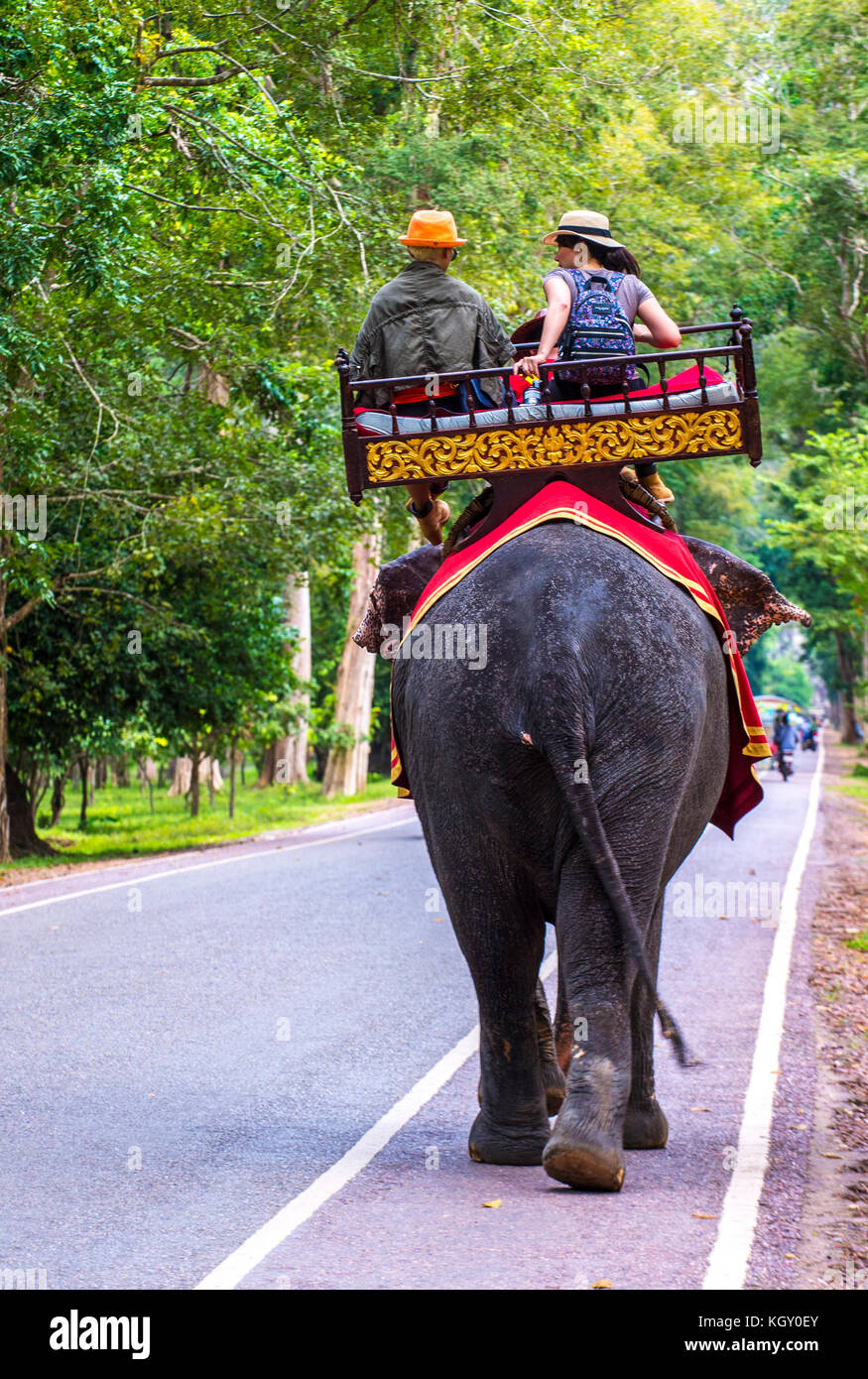 Elephant and his rider hi-res stock photography and images - Alamy