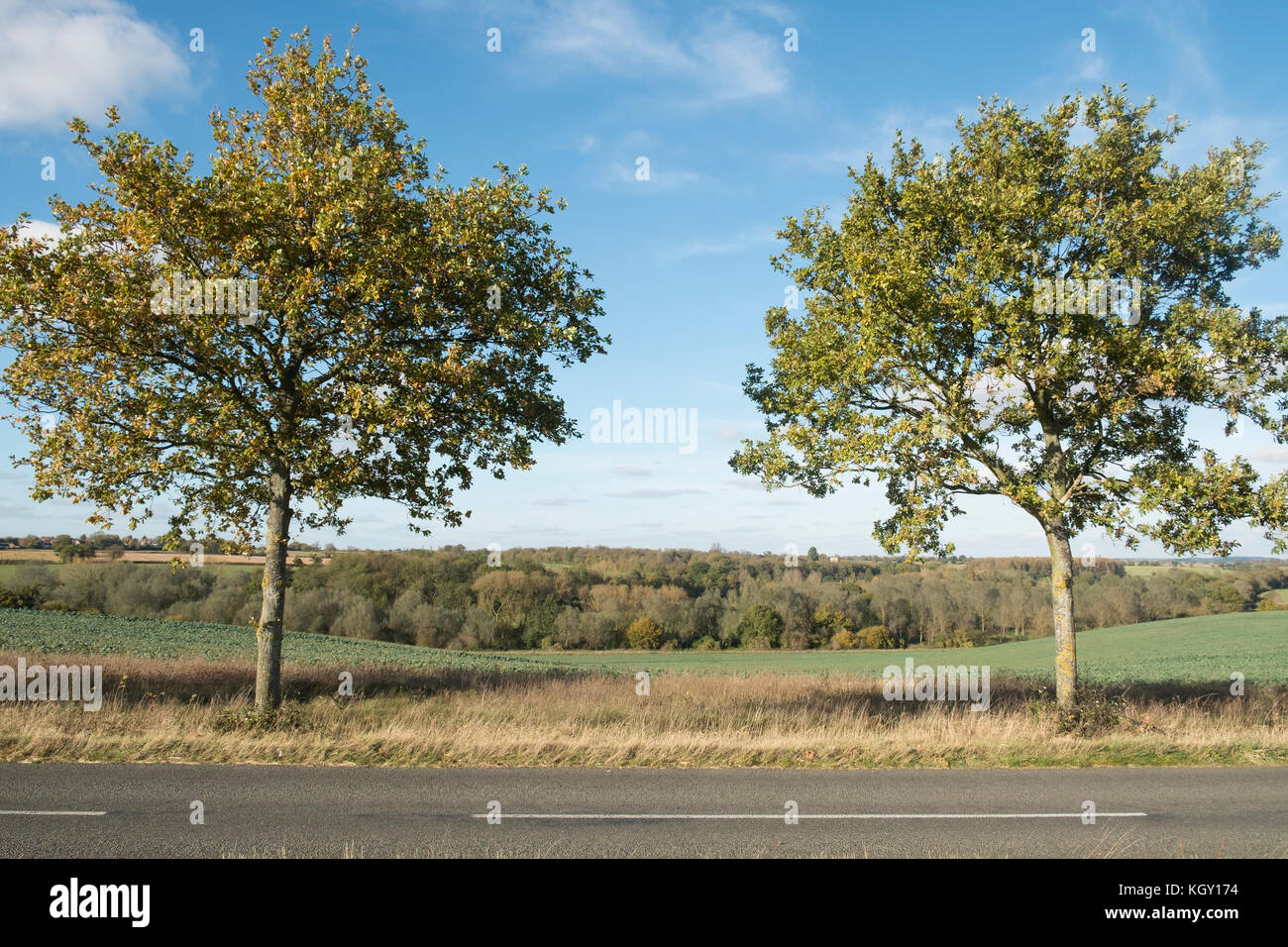 Stuck together side by side hi-res stock photography and images - Alamy