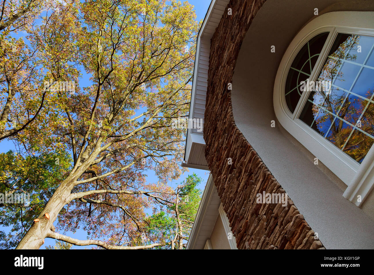 tree sky roof house Roof house with tiled roof Stock Photo - Alamy