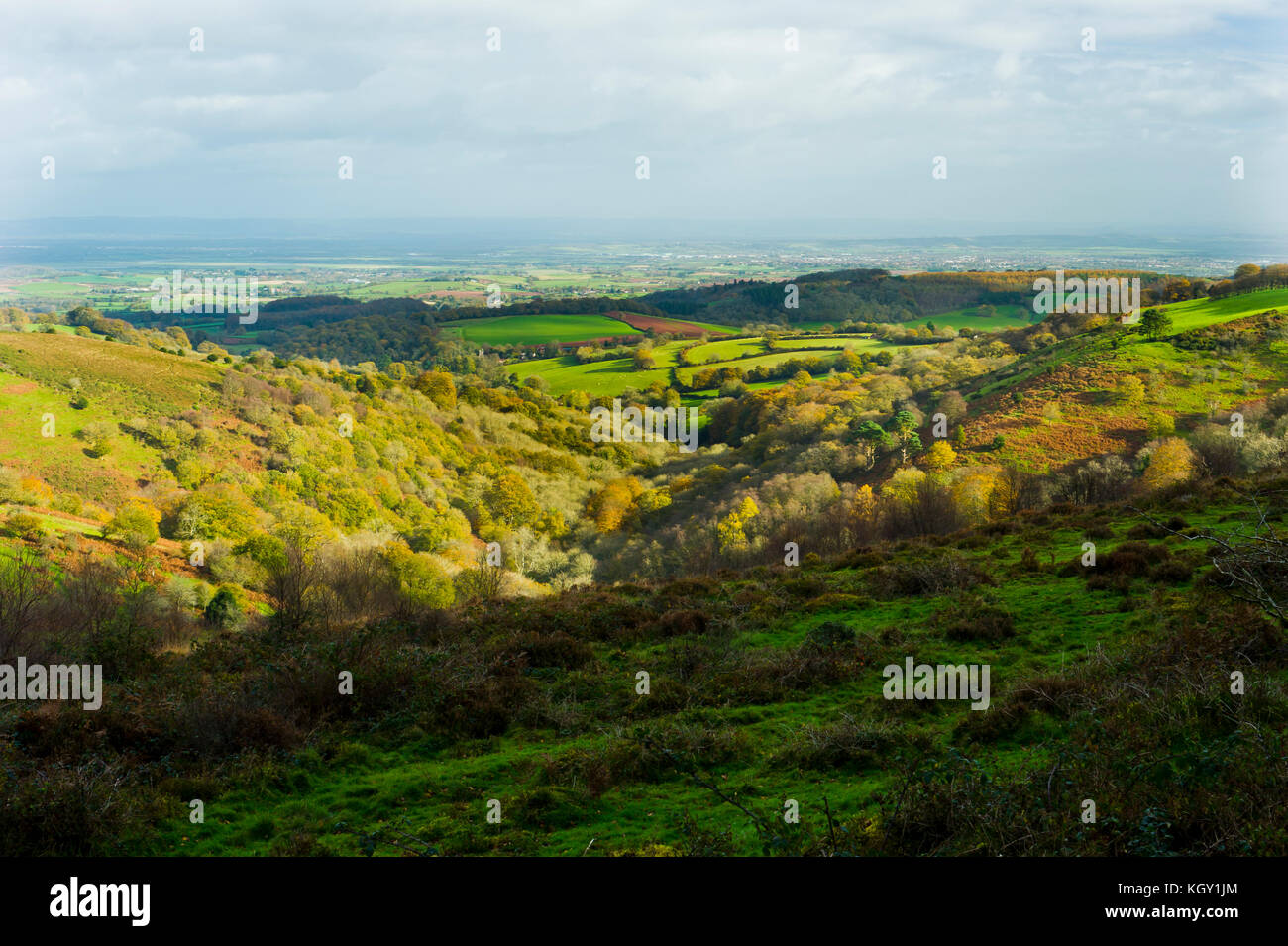 Quantock hills somerset hi-res stock photography and images - Alamy