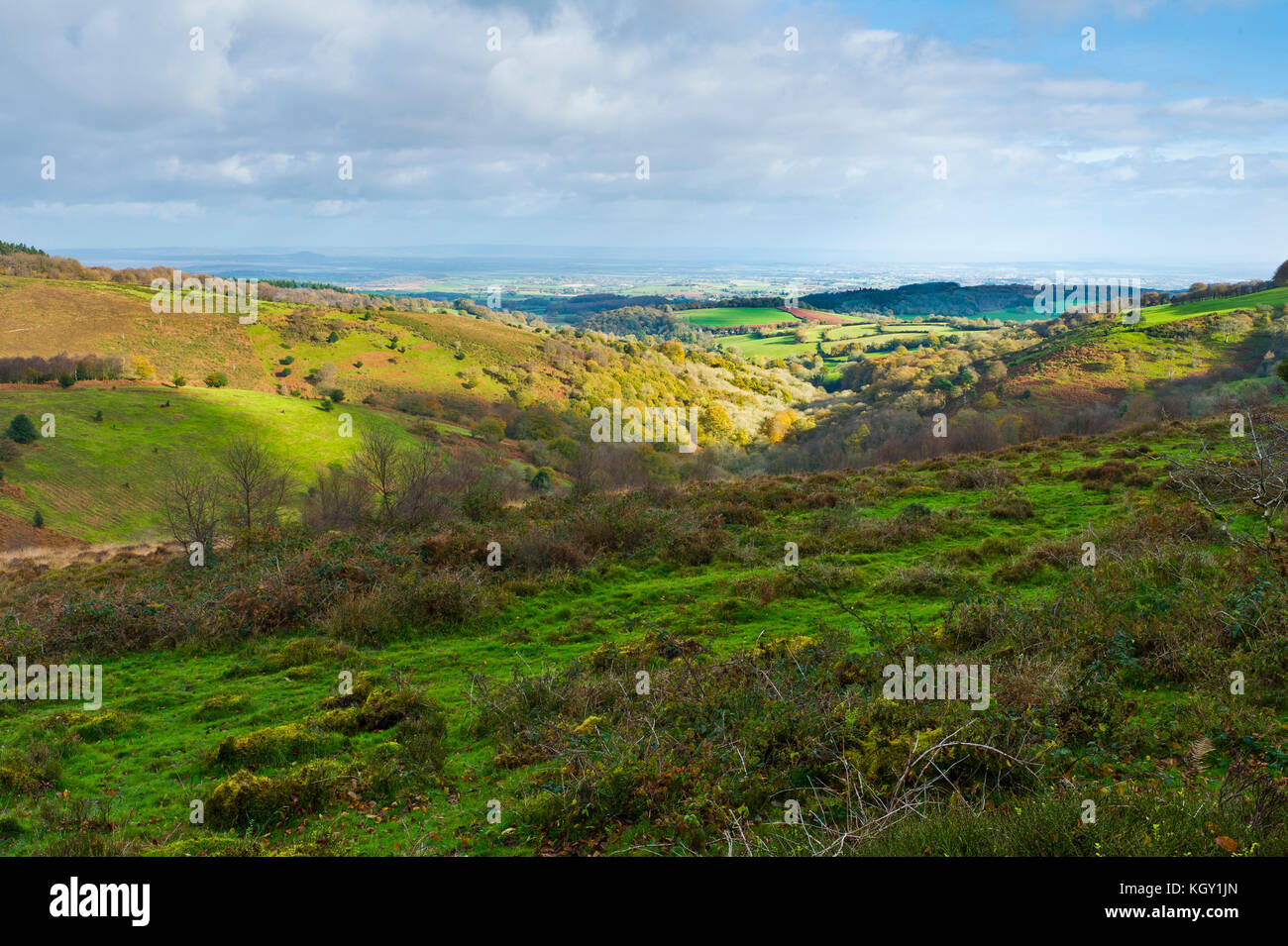 The Quantock Hills, Somerset, England Stock Photo - Alamy