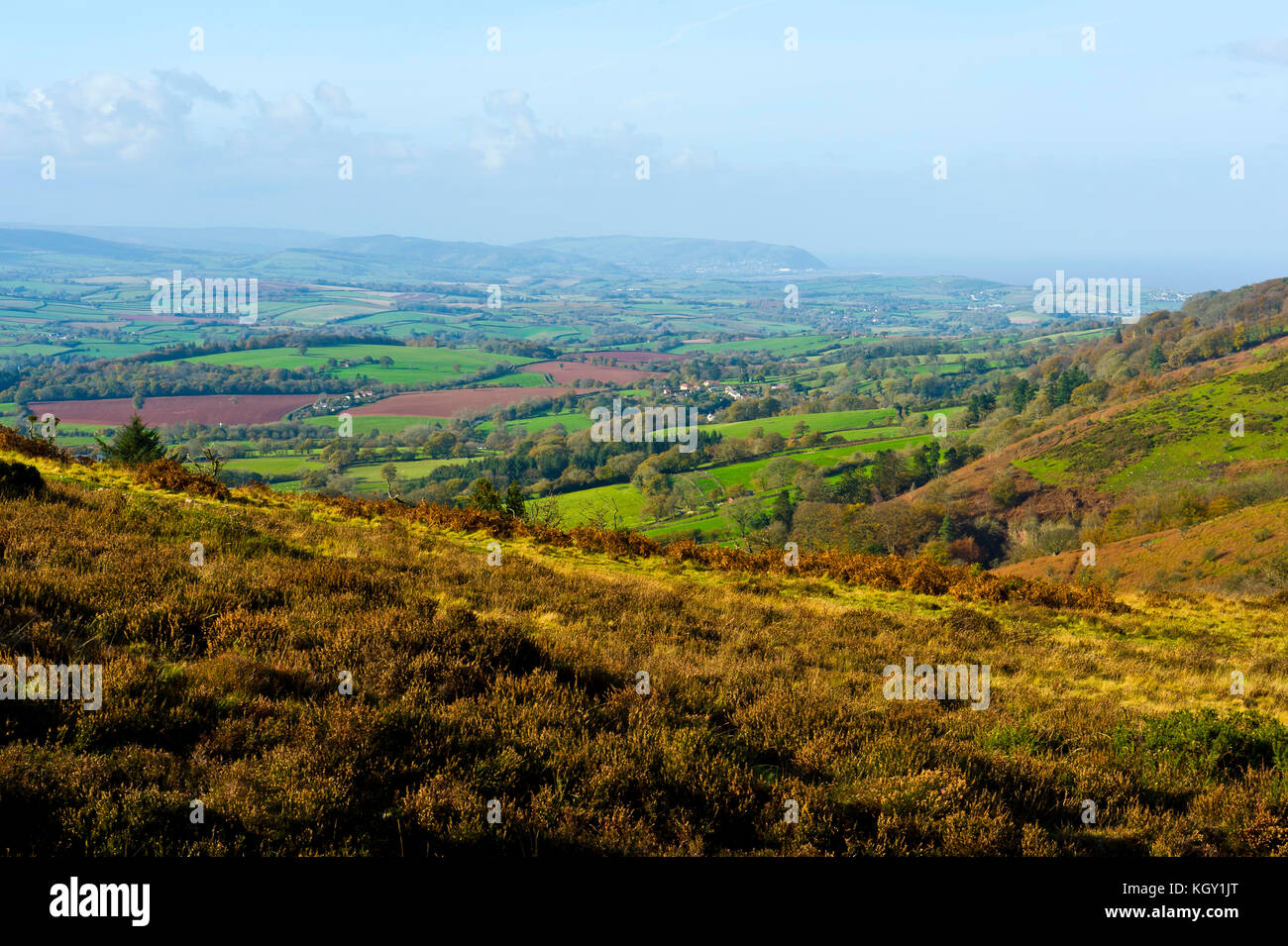 Quantock hills somerset hi-res stock photography and images - Alamy
