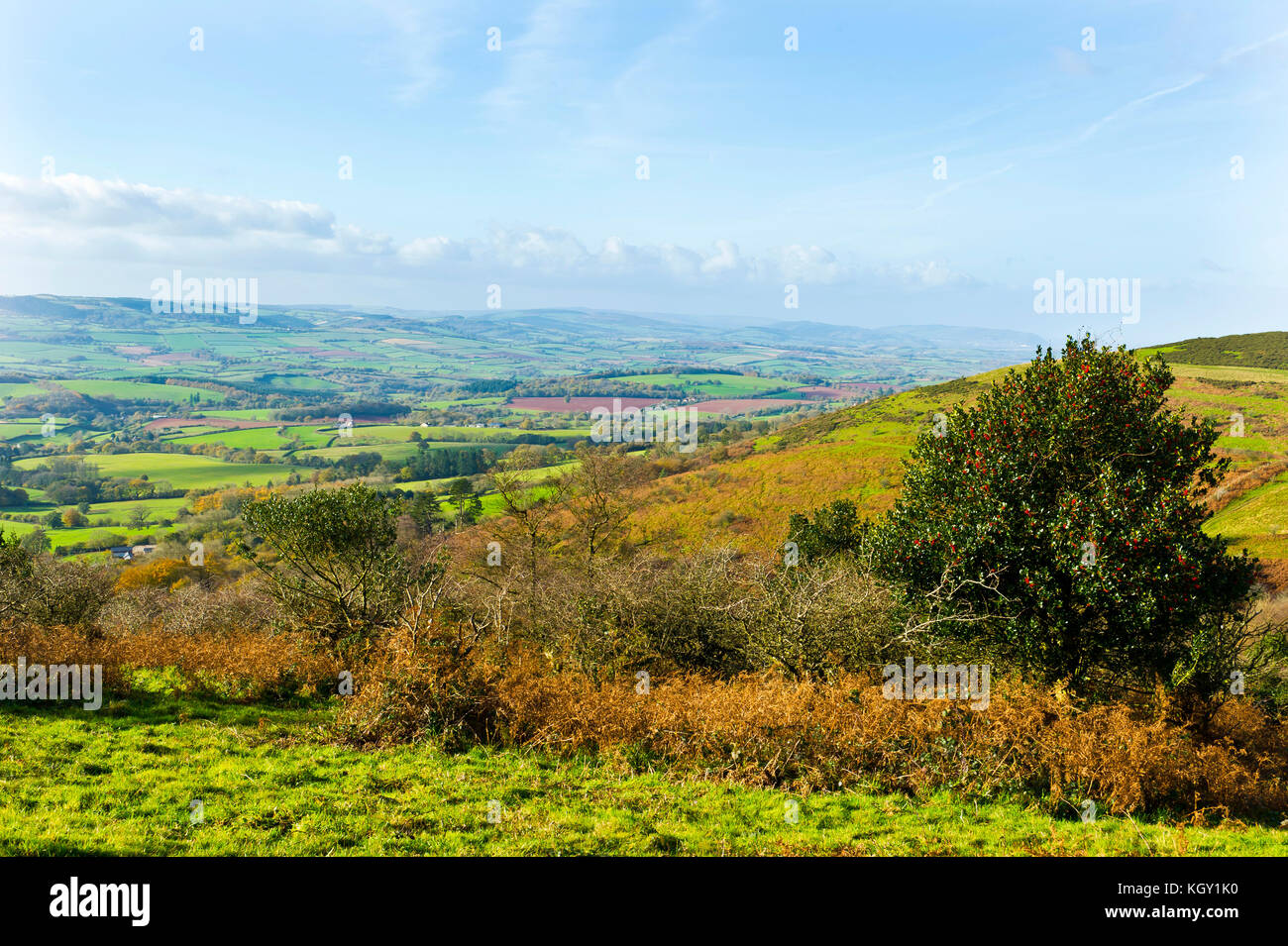 Quantock hills area of outstanding natural beauty hi-res stock ...