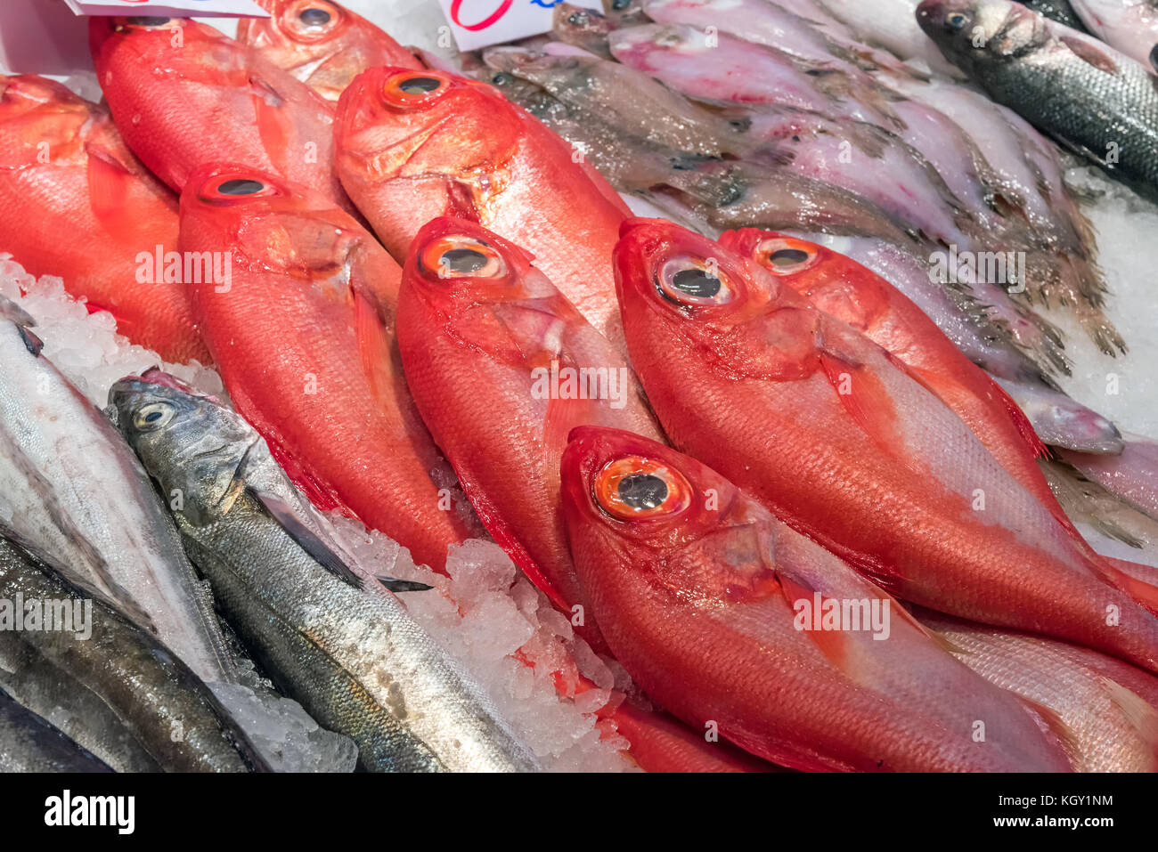 Red bream hi-res stock photography and images - Alamy