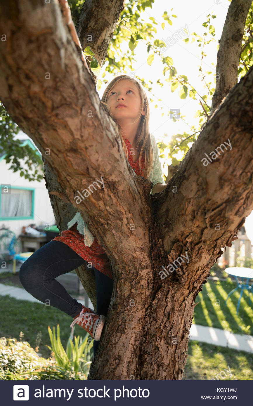 Girl 7 years climbing hi-res stock photography and images - Alamy