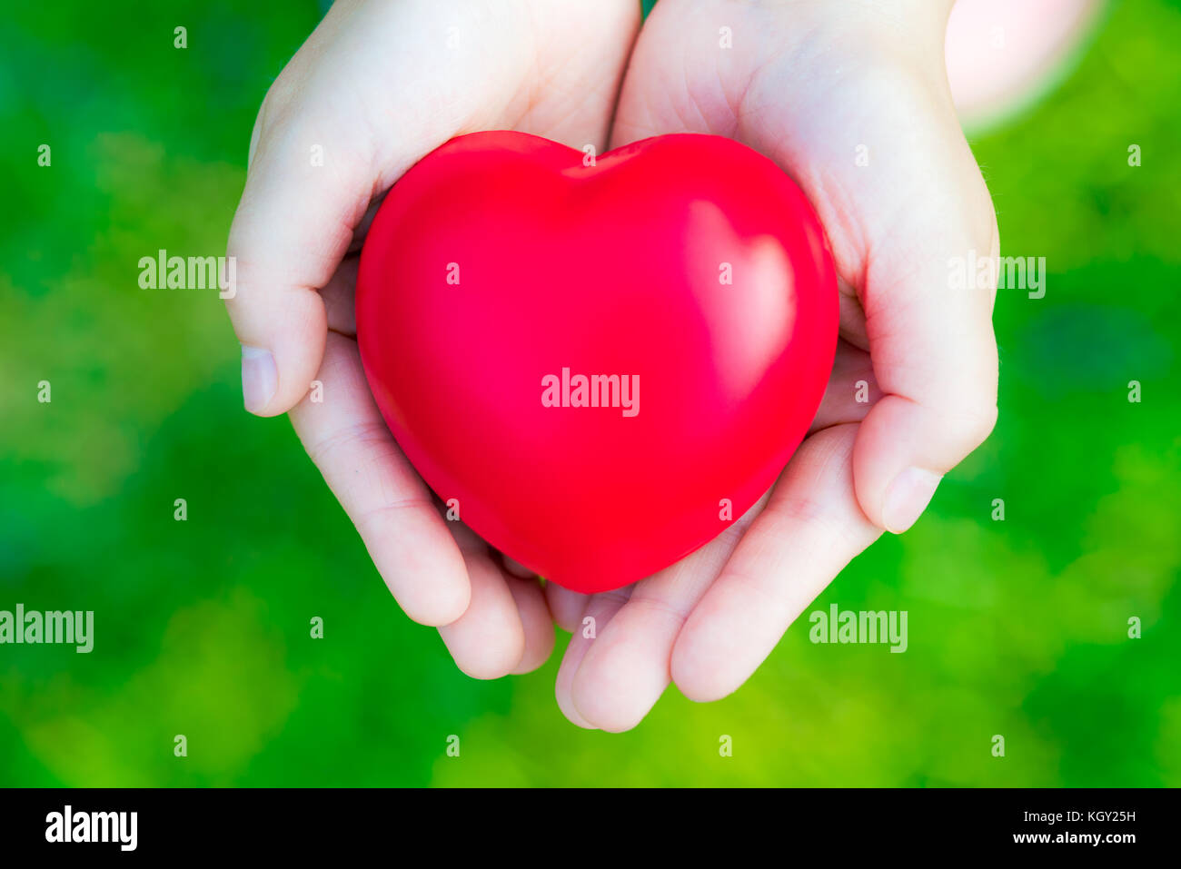 Female hands giving red heart on green background - safety concept ...