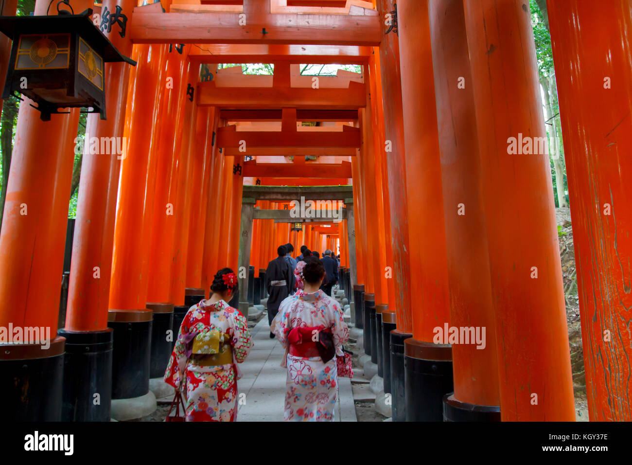 Young women dressed in traditional Kimono in Fushimi Inari, a path up ...