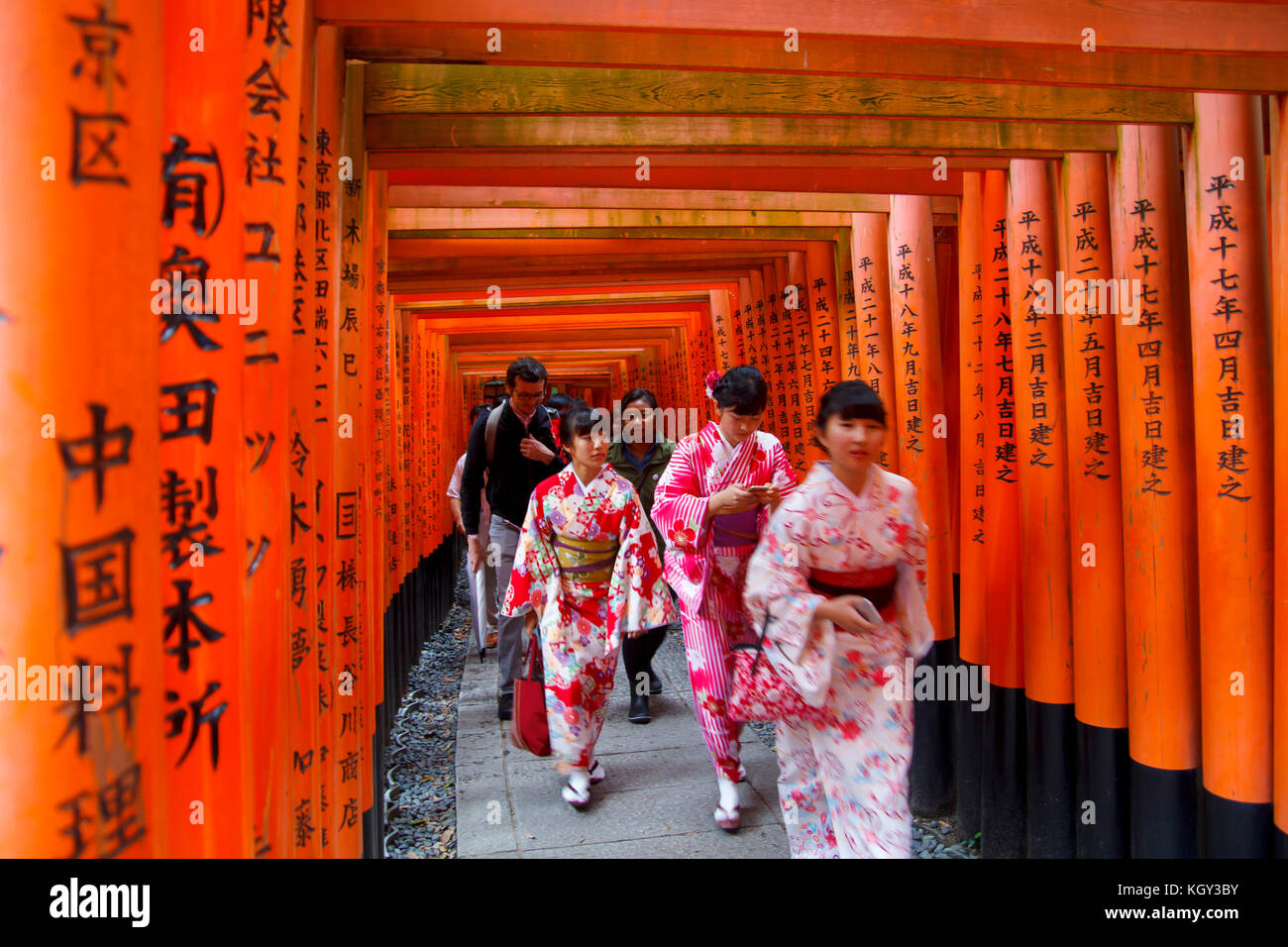 Young women dressed in traditional Kimono in Fushimi Inari, a path up ...