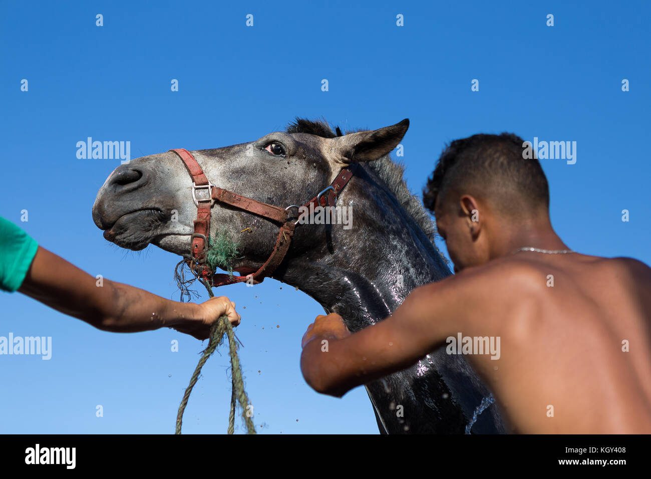 Fantasia is a traditional exhibition of horsemanship in the Maghreb ...