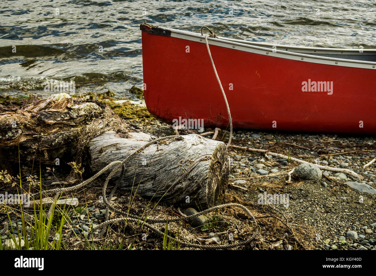 Explore the shore hi-res stock photography and images - Alamy