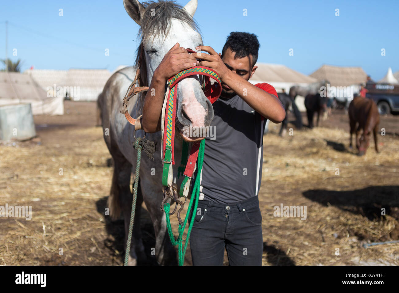 Fantasia is a traditional exhibition of horsemanship in the Maghreb ...