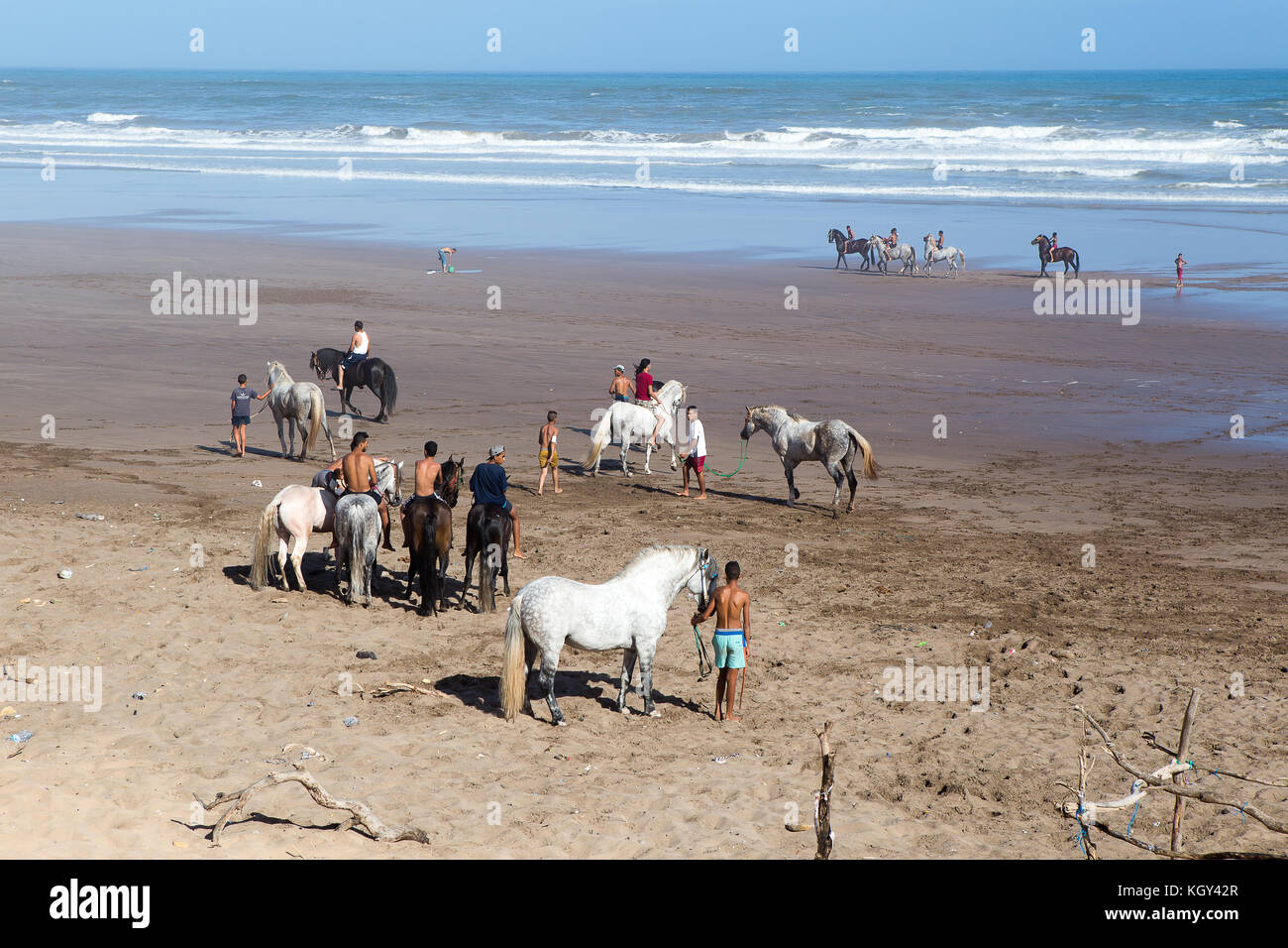 Fantasia is a traditional exhibition of horsemanship in the Maghreb ...