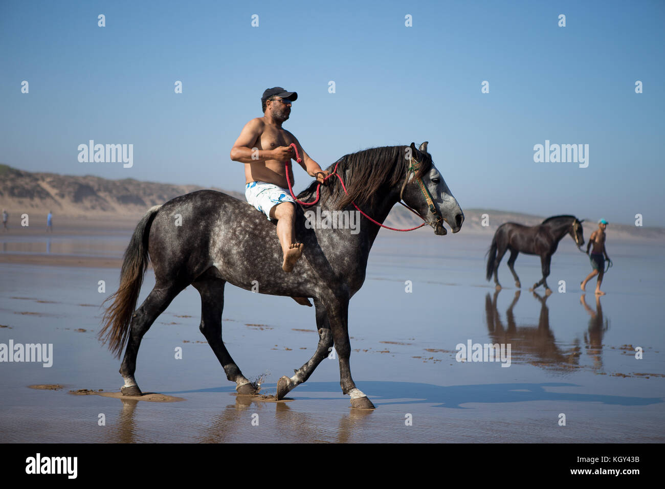 Fantasia is a traditional exhibition of horsemanship in the Maghreb ...