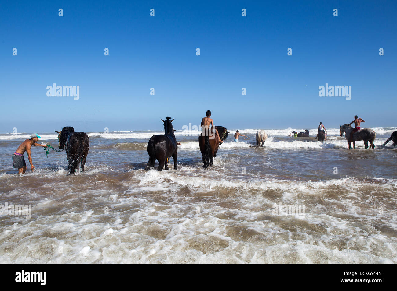 Fantasia is a traditional exhibition of horsemanship in the Maghreb ...