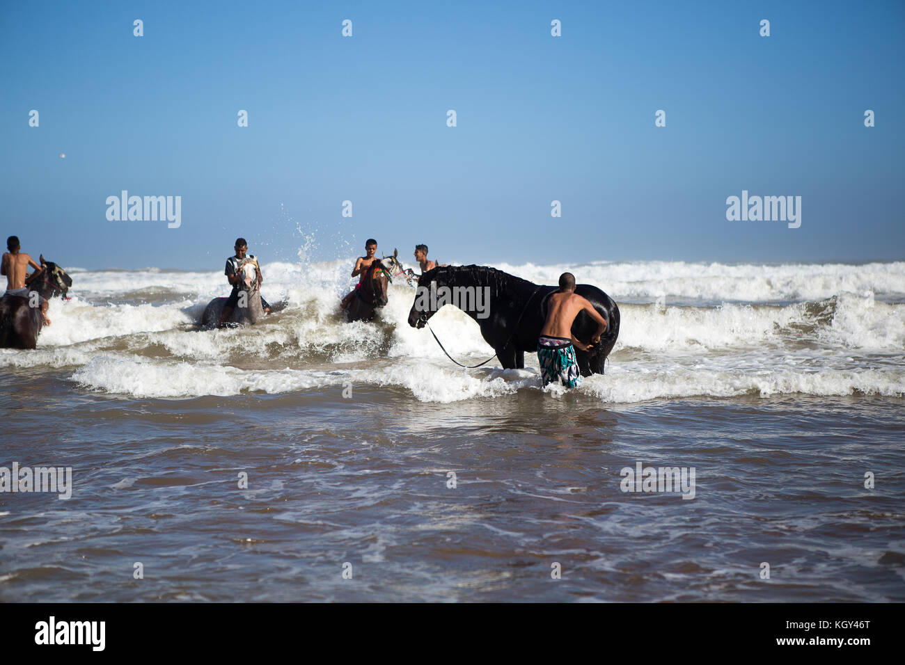 Fantasia is a traditional exhibition of horsemanship in the Maghreb ...