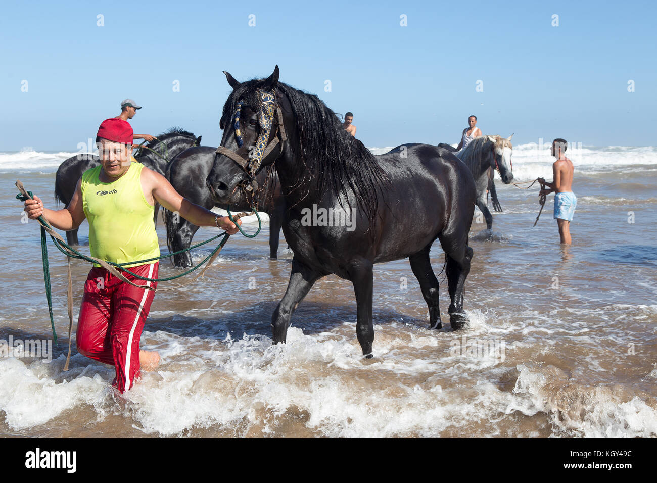 Fantasia is a traditional exhibition of horsemanship in the Maghreb ...