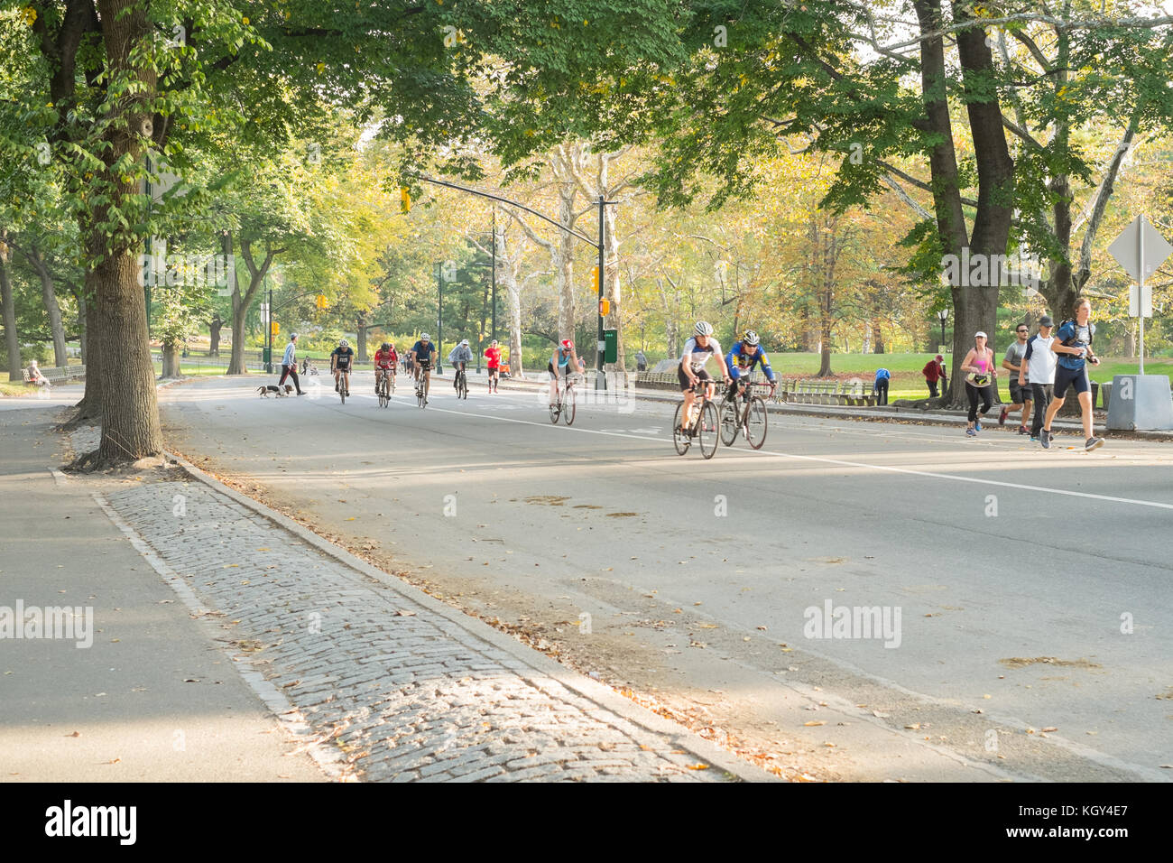Cyclists in Central Park, New York City, New York, NY, United States of ...