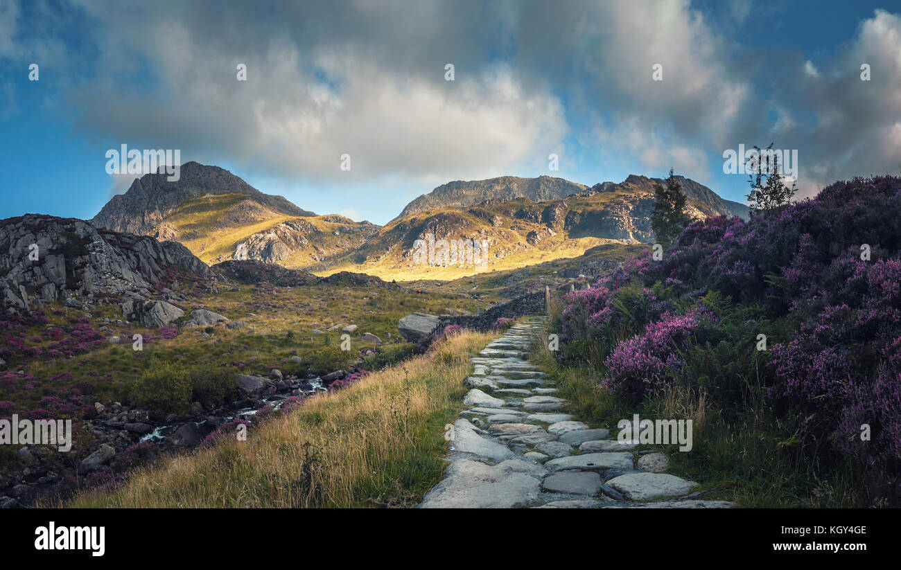 Stone Foot Path in Scenic Snowodnia Mountains in North Wales UK Stock ...